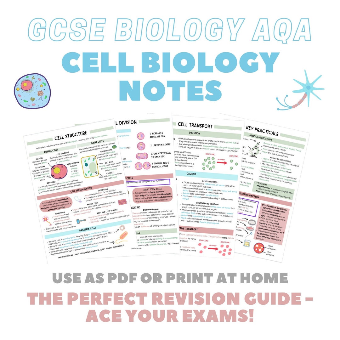 GCSE Biology AQA Cell Biology Notes **DIGITAL** - Etsy