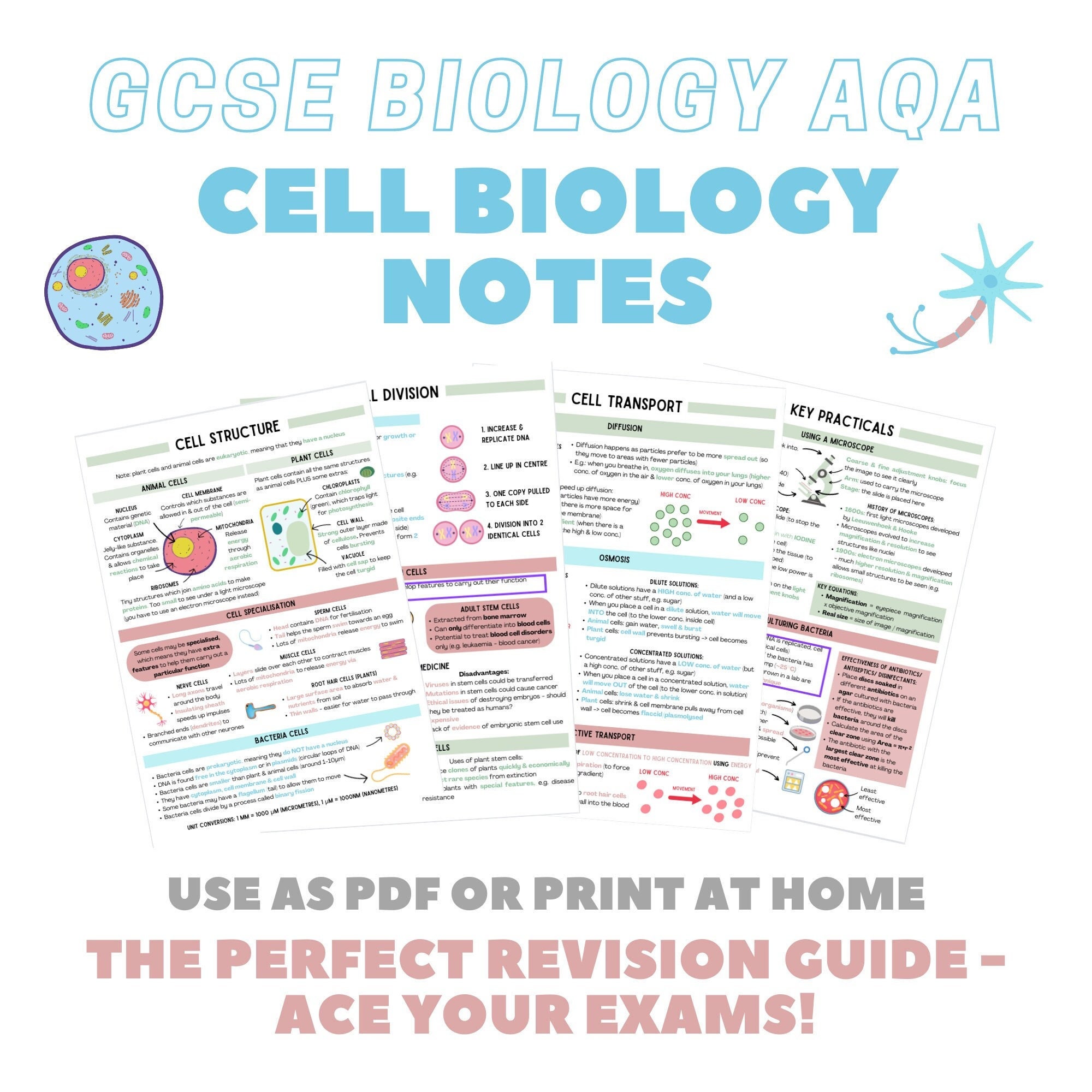 GCSE Biology AQA Cell Biology Notes **DIGITAL** - Etsy GCSE Biology AQA Cell Biology Notes **DIGITAL** - Etsy