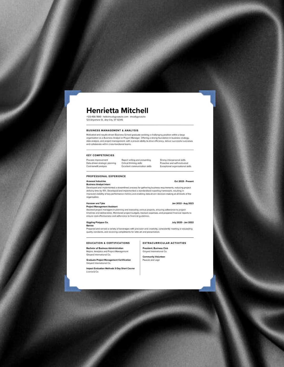 Professional Resume Template: Stand Out & Impress Editable CV Design ...
