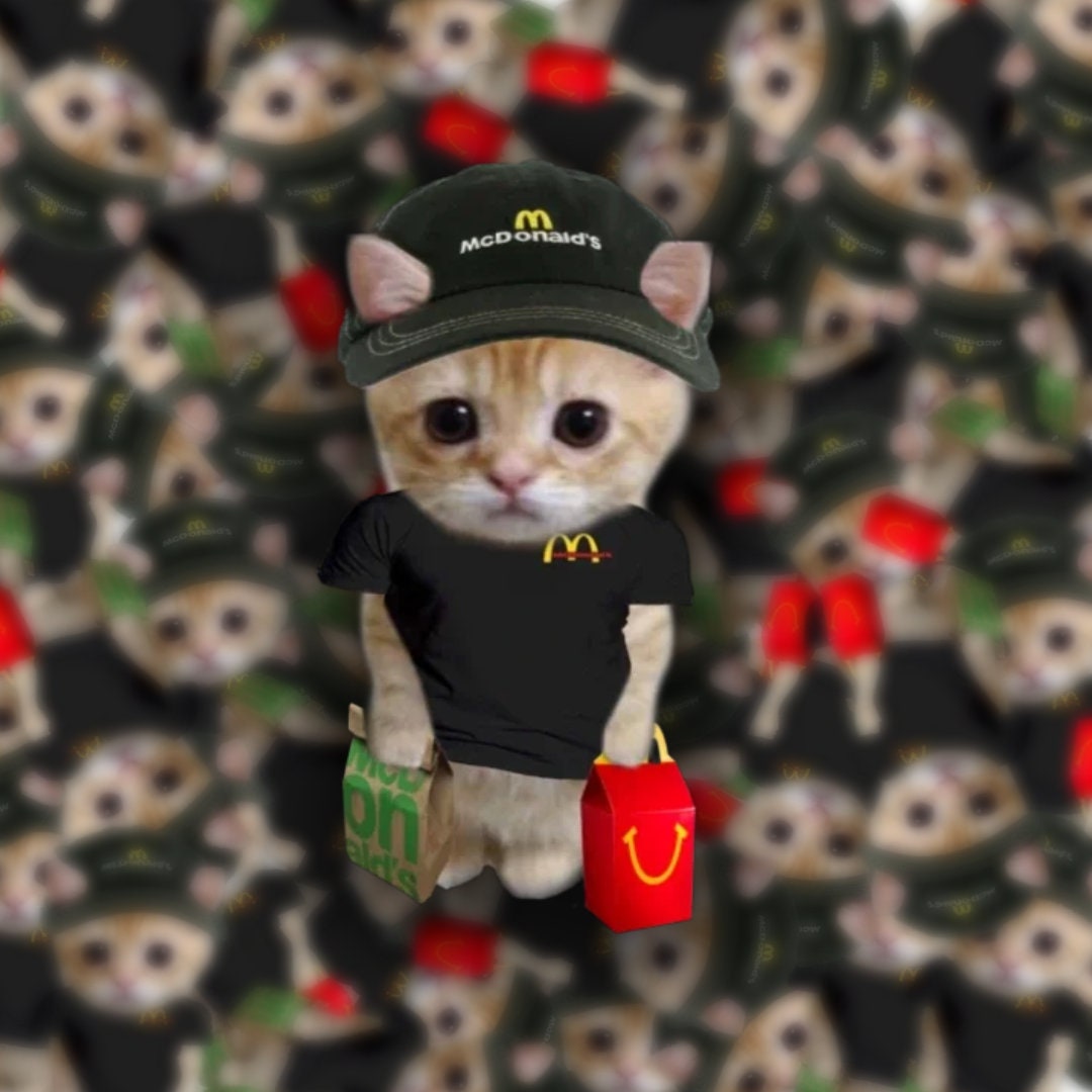 Mcdonalds Kitten Meme Sticker - Etsy