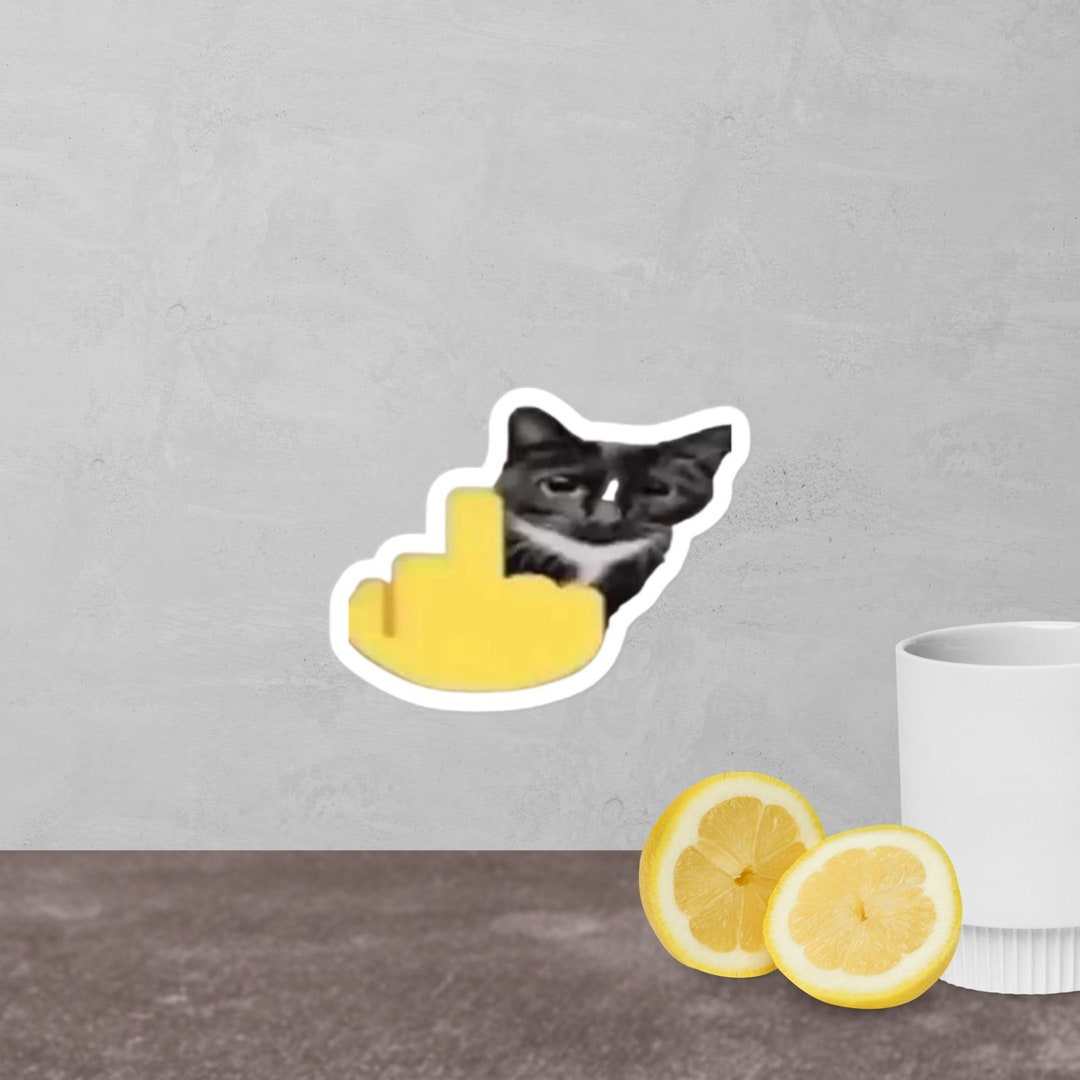 Cat Middle Finger Meme Stickers - Etsy