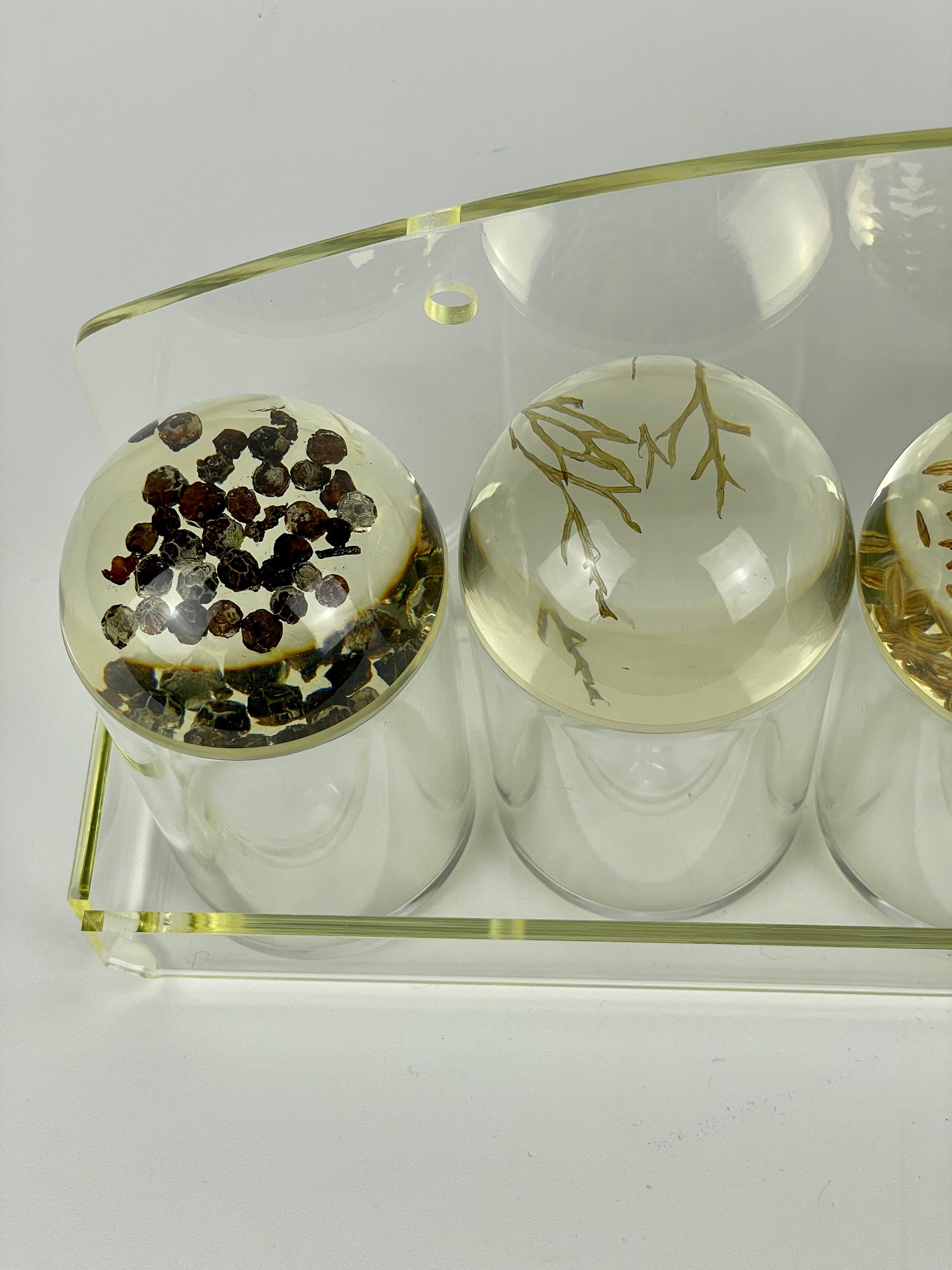 Rare French MCM Lucite Spice Canister Set With Inlaid Spices in Covers ...