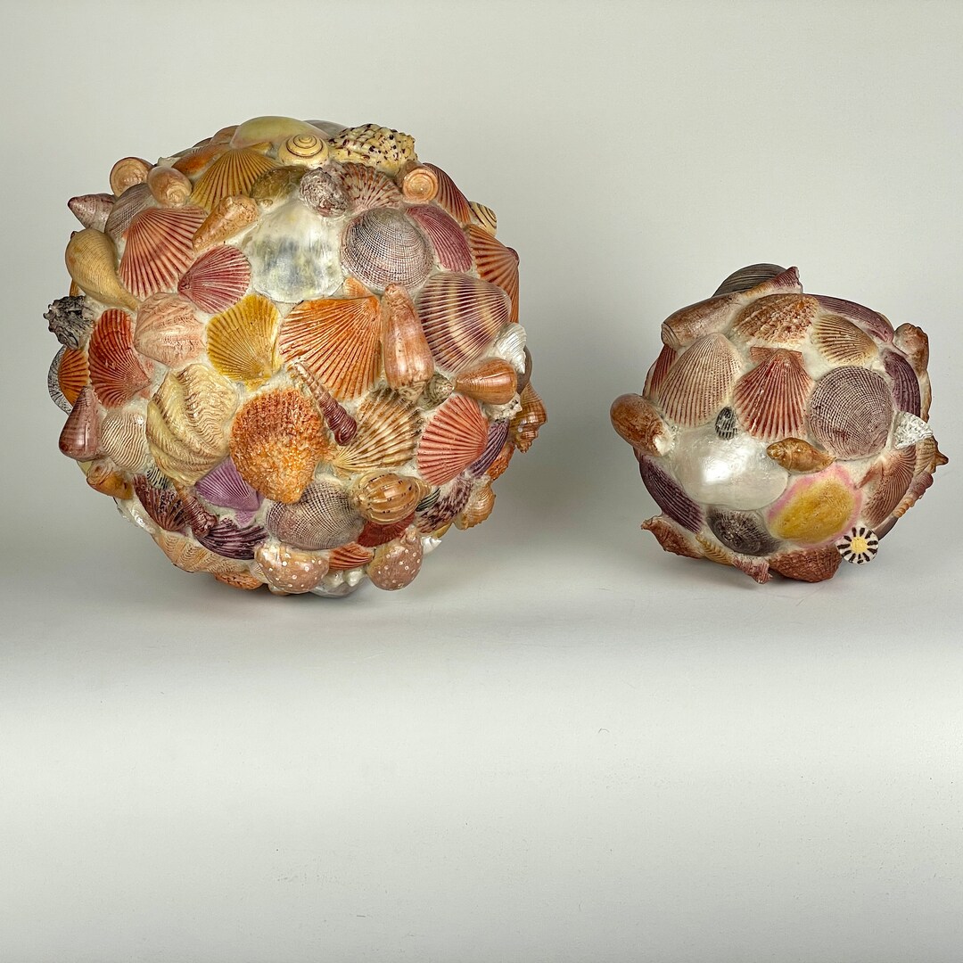 Pair of Large & Small Sea Shells Topiary Sculptures - Etsy