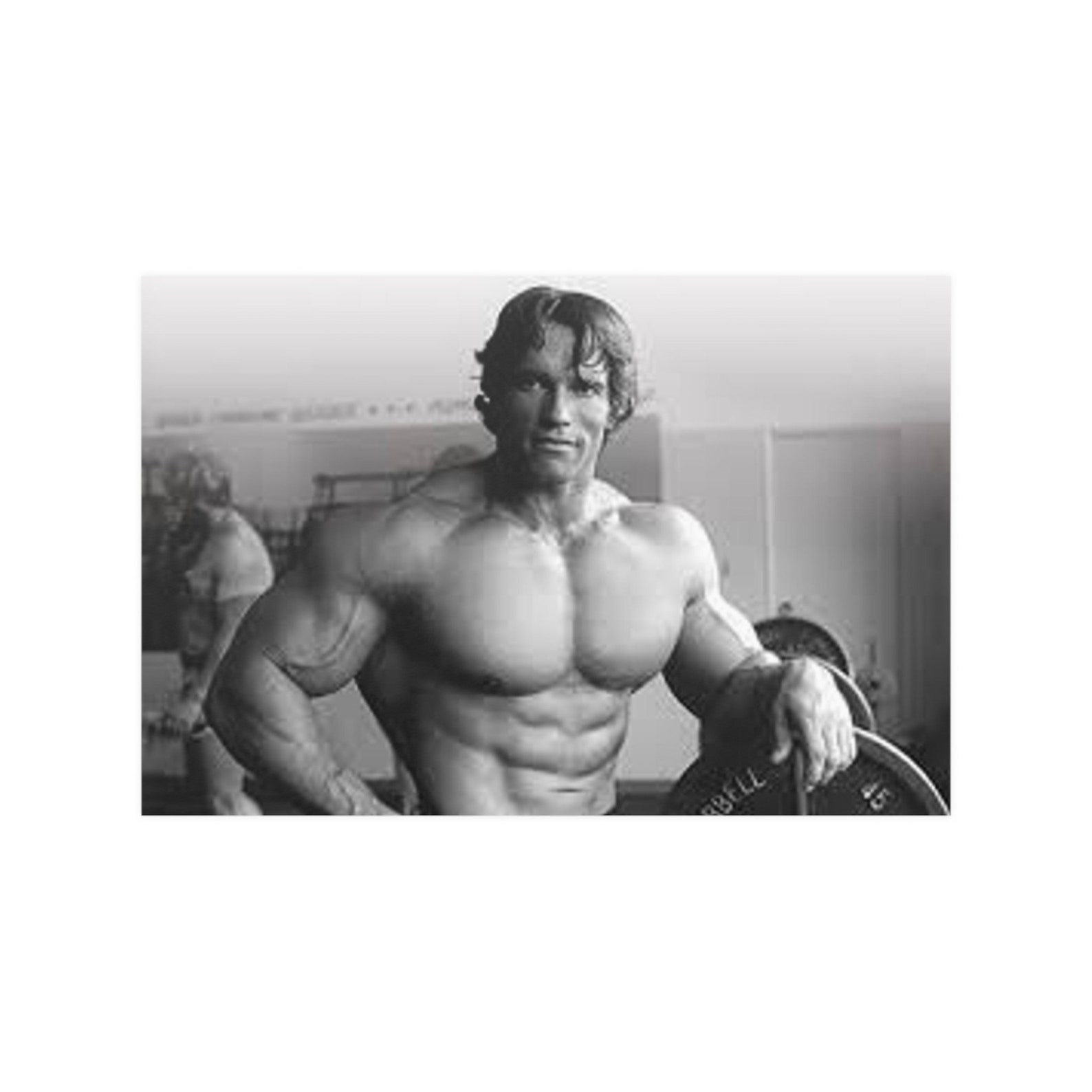 Arnold Schwarzenegger Black and White Poster | the Golden Era | Premium ...