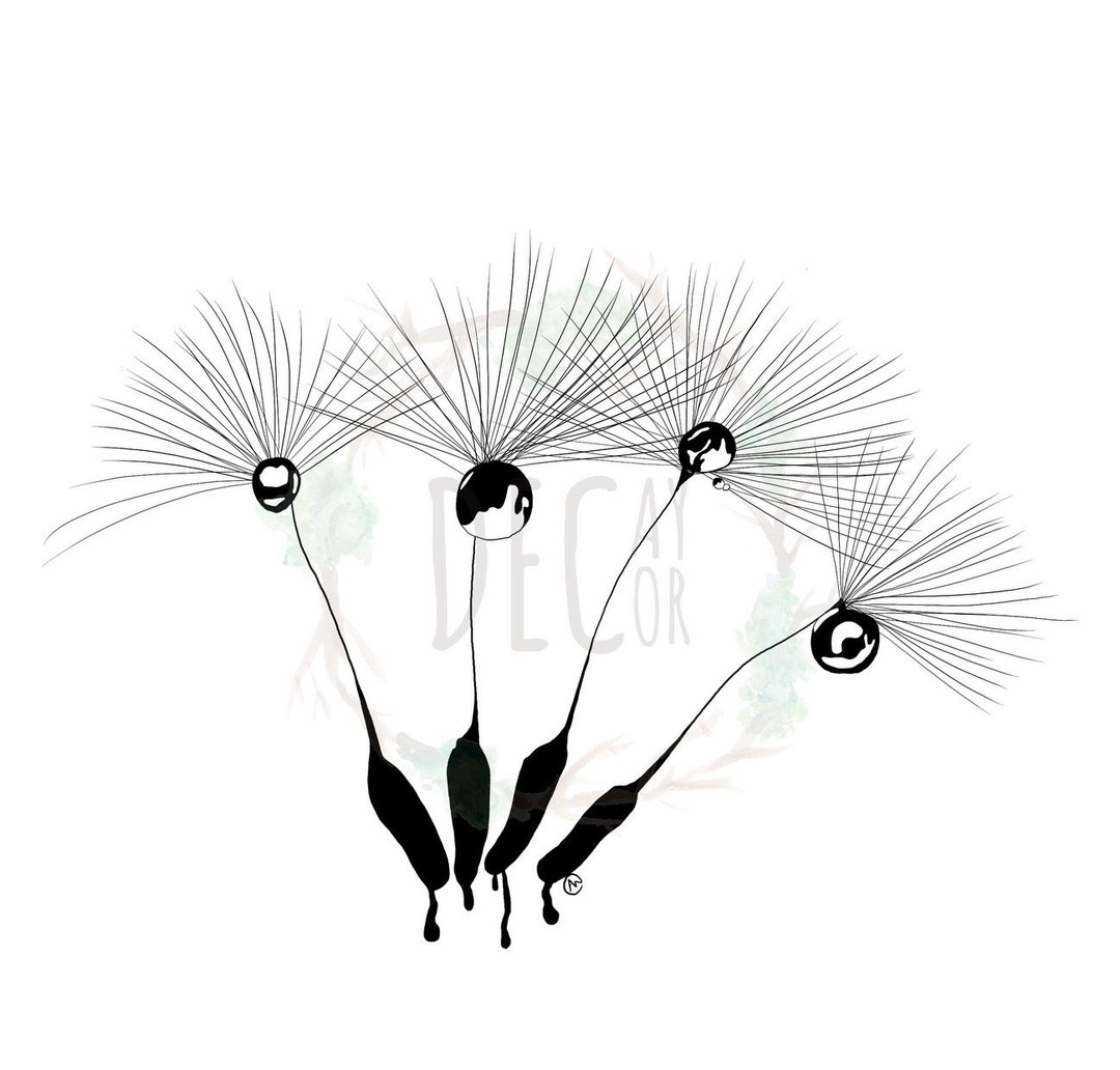 Dandelion - Etsy