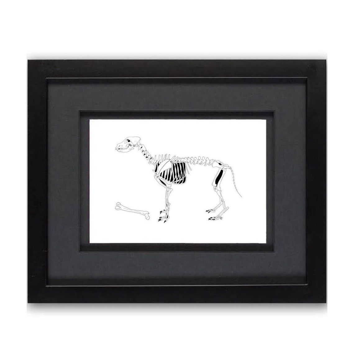 Skeledog - Etsy