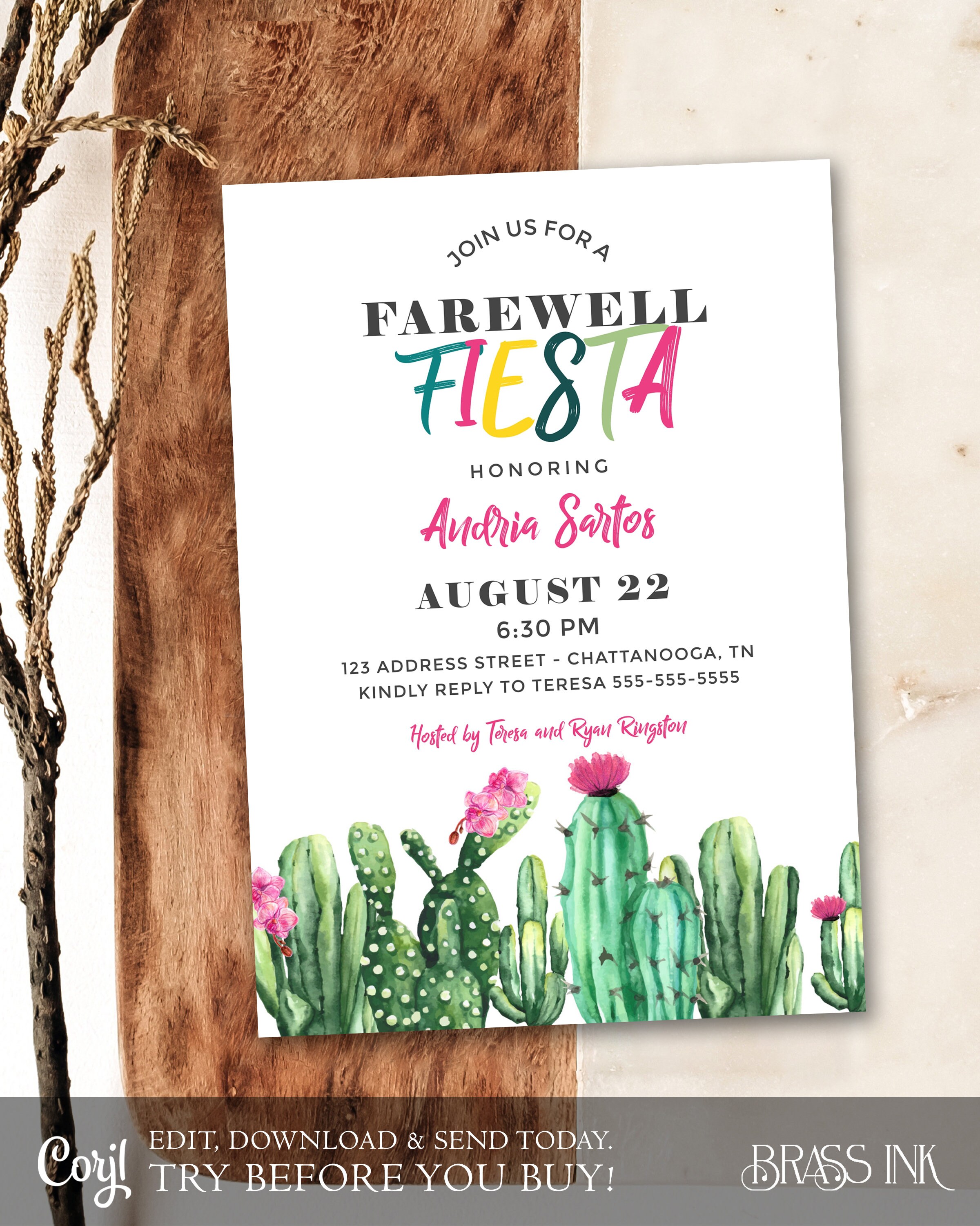 Farewell Fiesta Going Away Goodbye Party Invitation Digital Template ...
