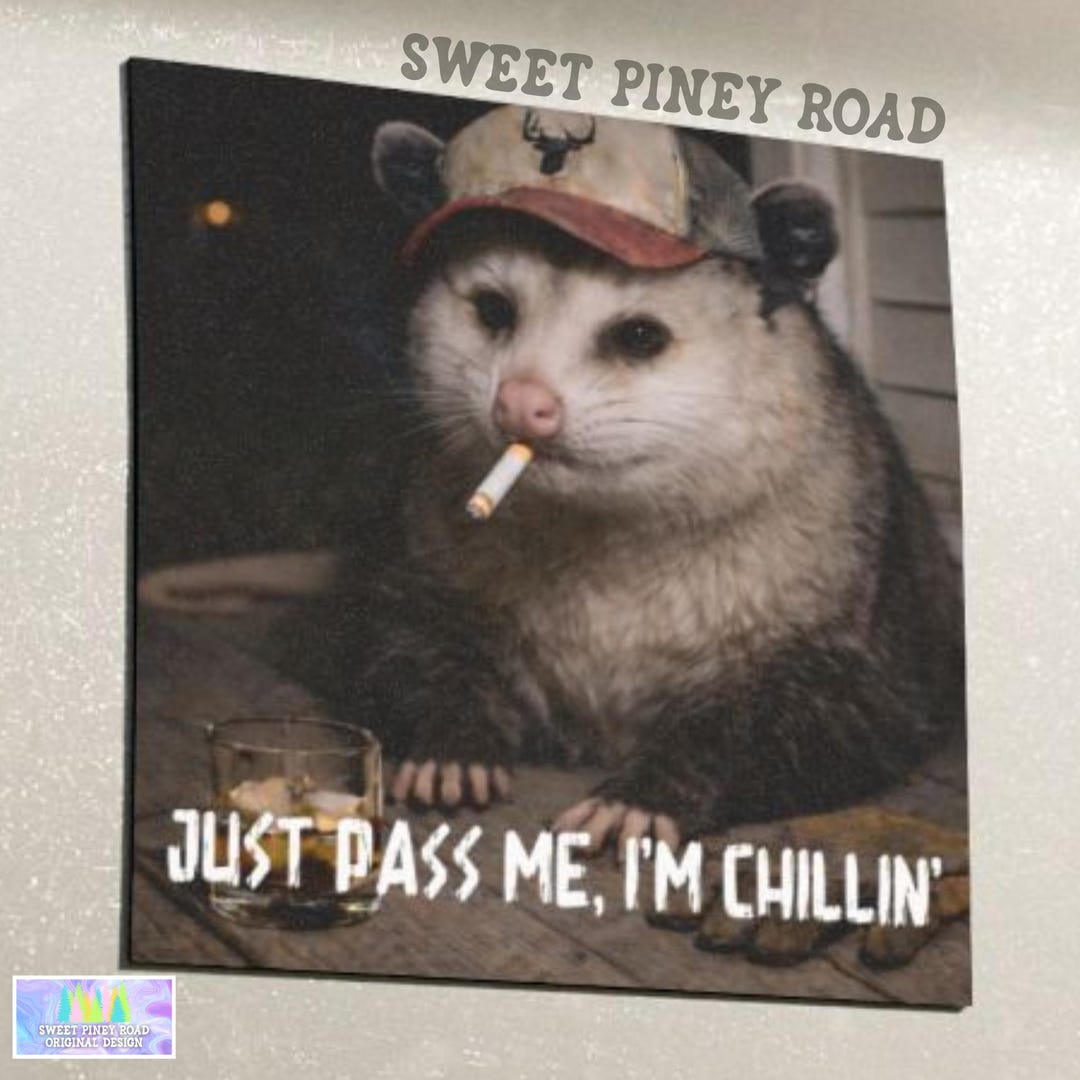 Funny Possum Car Magnet, Hilarious Smoking Country Themed Opossum ...