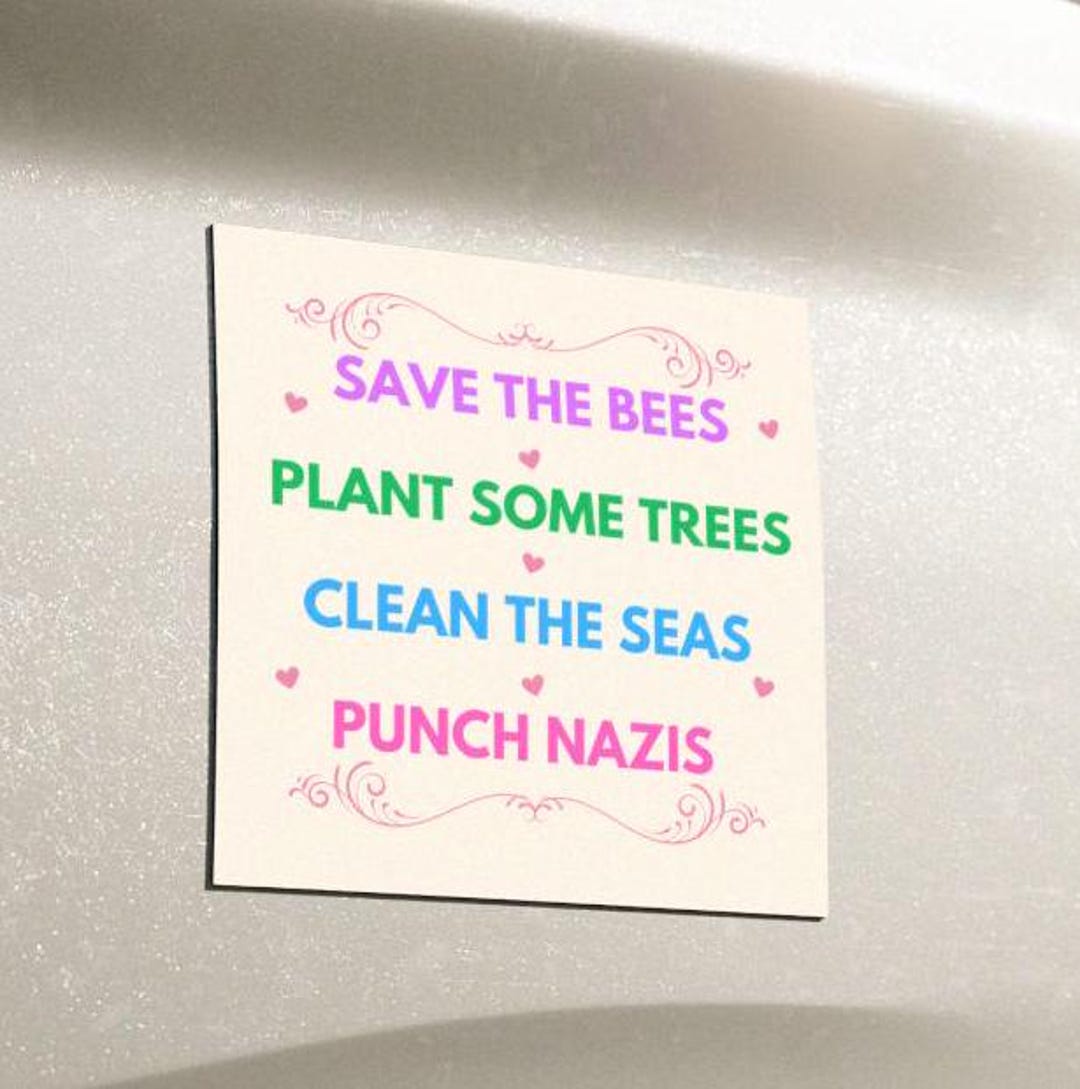 Save the Bees, Plant Some Trees, Clean the Seas, Punch Nazis Car Magnet ...