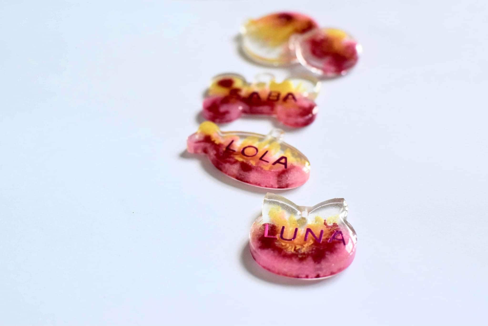 Personalised Epoxy Resin Name Tags for Dogs and Cats - Etsy