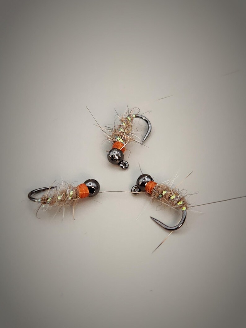 Walt's Worm ( Fancy Walts ) 3 Pack - Etsy