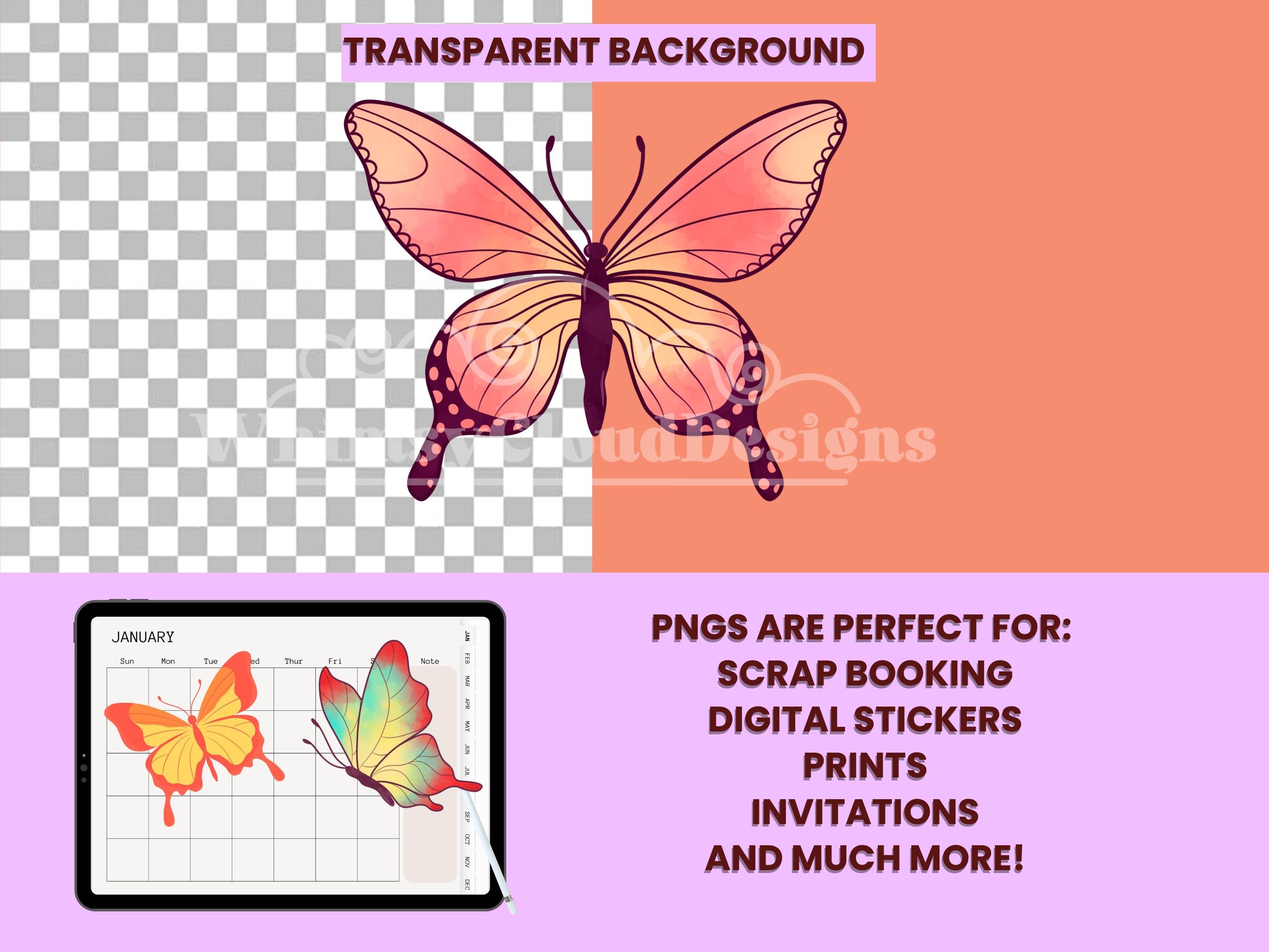 Colorful Butterfly Clipart Set-clipart Butterfly-watercolor Butterfly ...