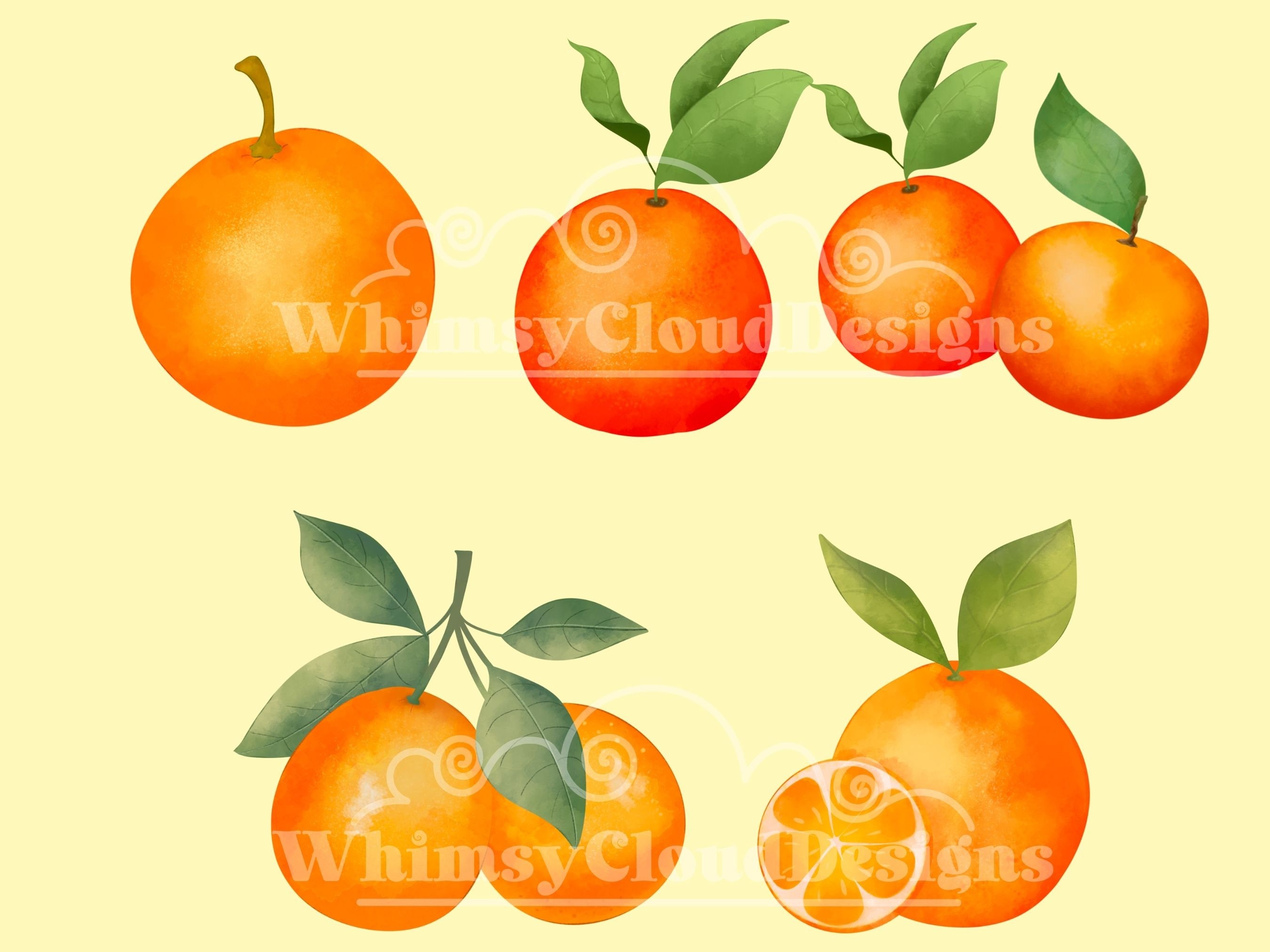 Watercolor Orange Clipart - Handmade-clip Art Png-fruit Clip Art ...