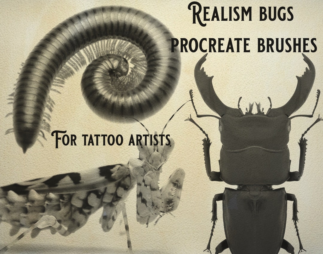 31 Realistic Bug Procreate Stamps - Etsy