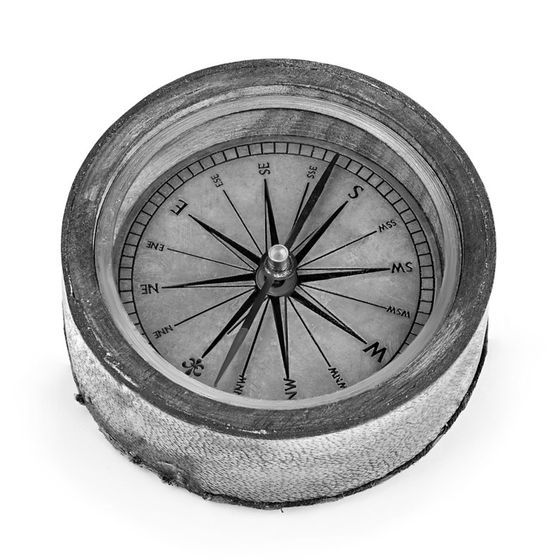 23 Realistic Compass Procreate Stamps for Tattoo Artists - Large High ...