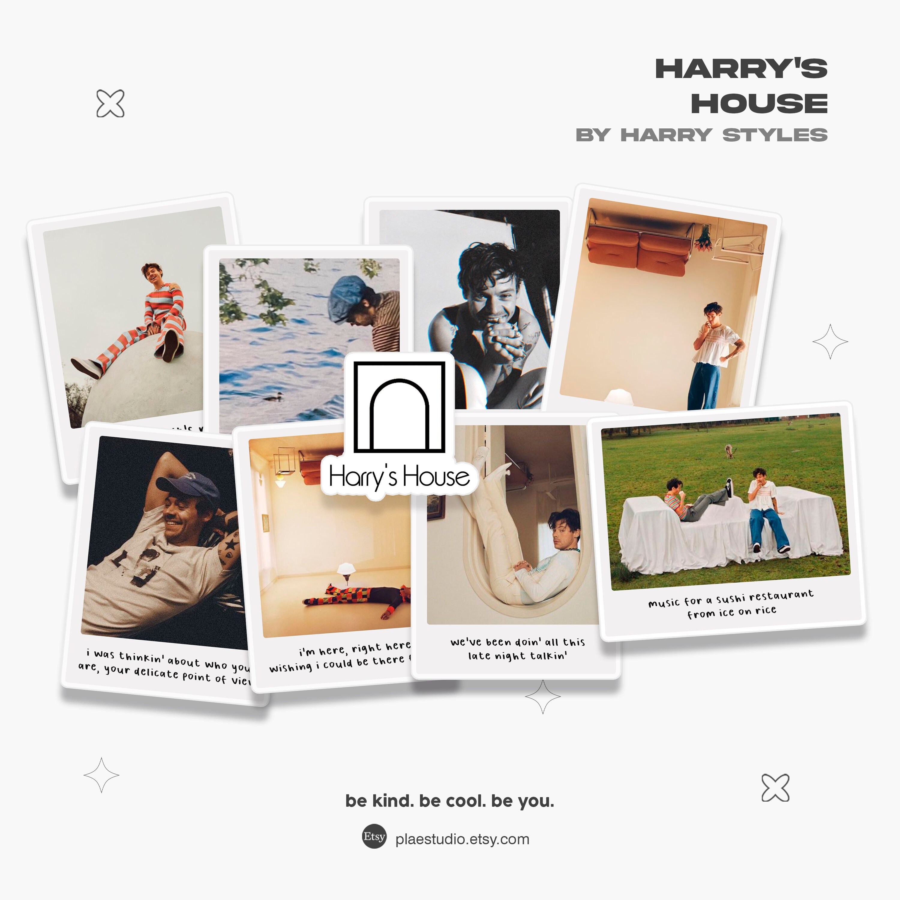 Harry Styles Polaroid Trekstock
