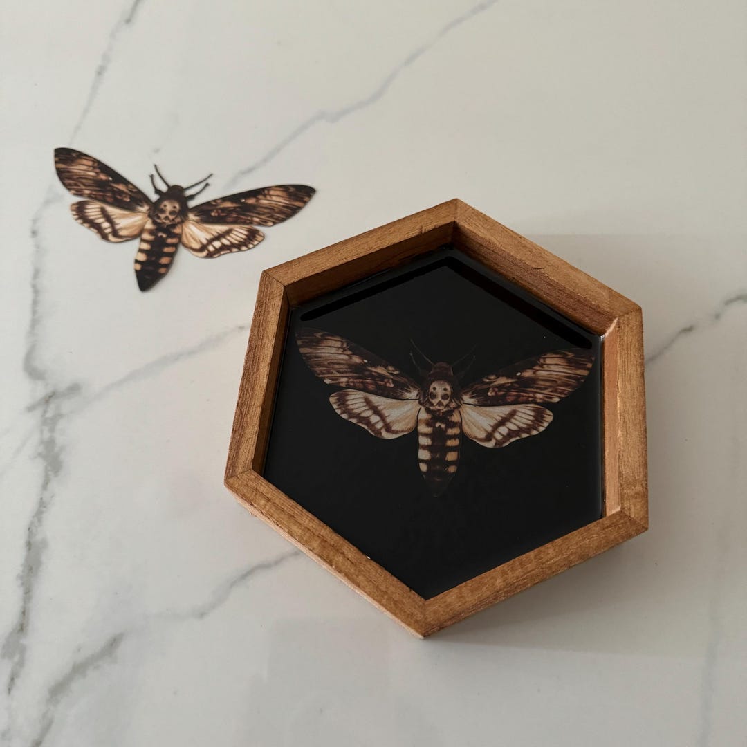 Death Head Moth Trinket Tray - Etsy