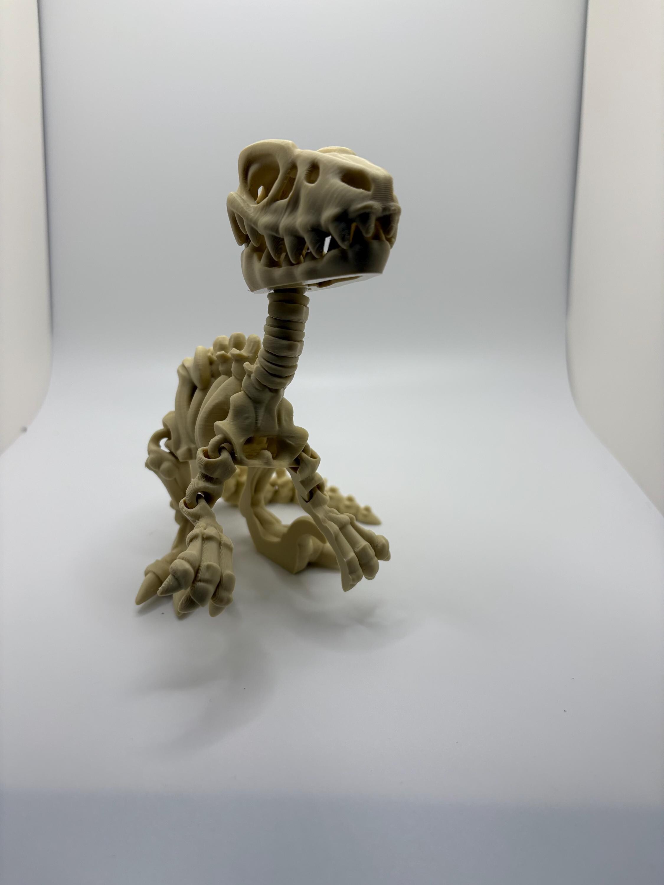 46. Articulated Skeleton Raptor, 3D Printed Poseable Dinosaur, Flexible ...