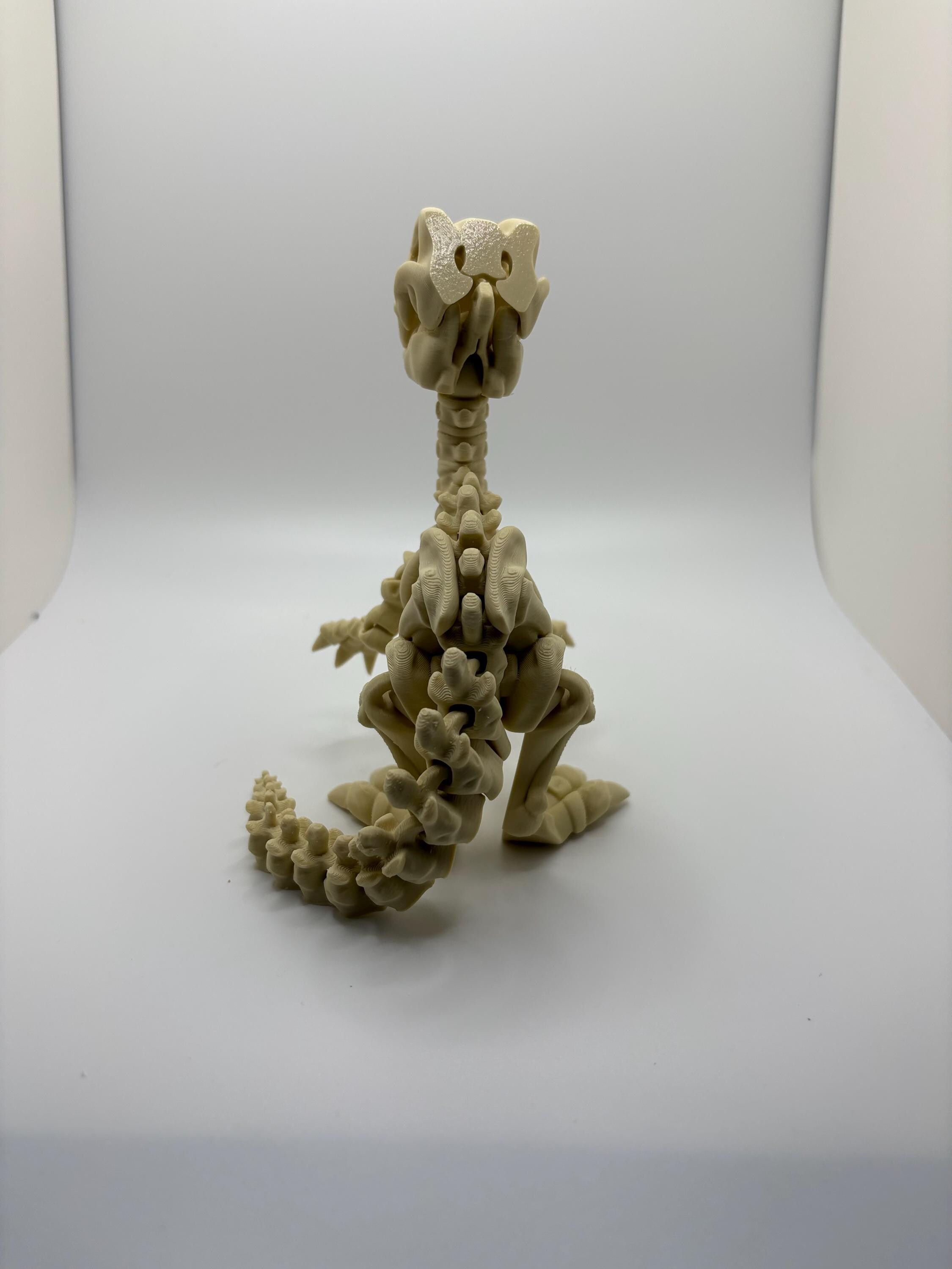 46. Articulated Skeleton Raptor, 3D Printed Poseable Dinosaur, Flexible Body and Tail, Moving ...