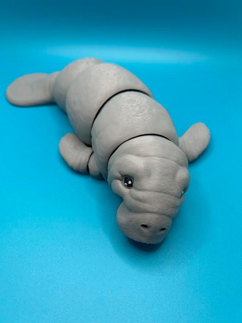 04. Articulated Manatee 3D Printed Toy, Poseable Sea Cow Figurine ...