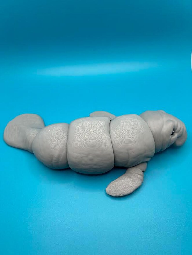 04. Articulated Manatee 3D Printed Toy, Poseable Sea Cow Figurine ...