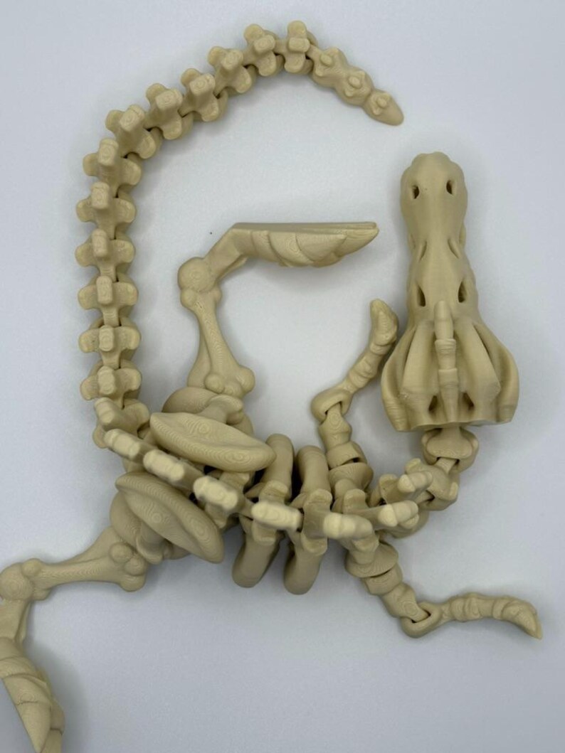 Poseable Spinosaurus Skeleton - Etsy