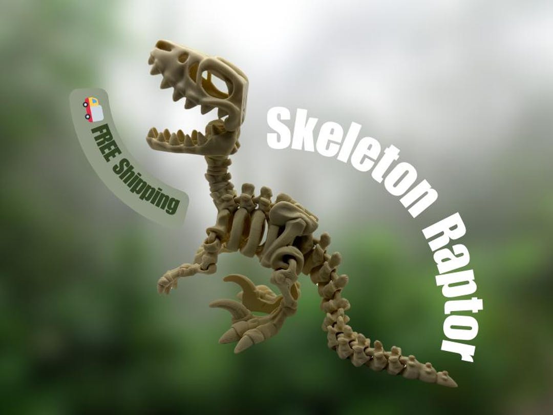 Poseable Skeleton Raptor - Etsy