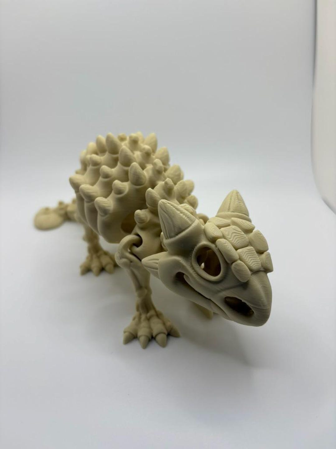 Beige Skeleton Ankylosaurus: Collectible Gem - Etsy