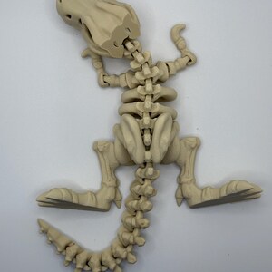 05. Articulated Skeleton T-rex, Large 3D Printed Dinosaur, Poseable ...