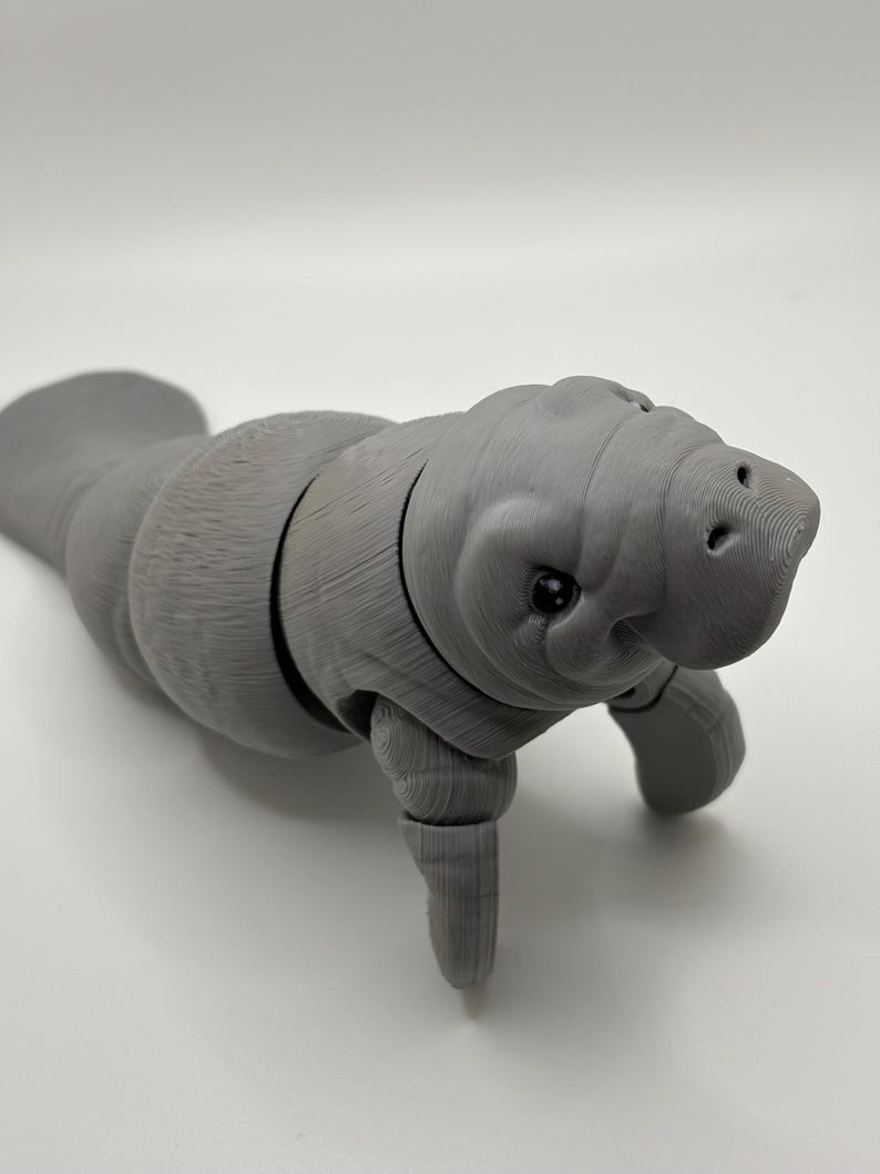 Articulated 3D Printed Manatee Poseable Wildlife Decor & Toy - Etsy
