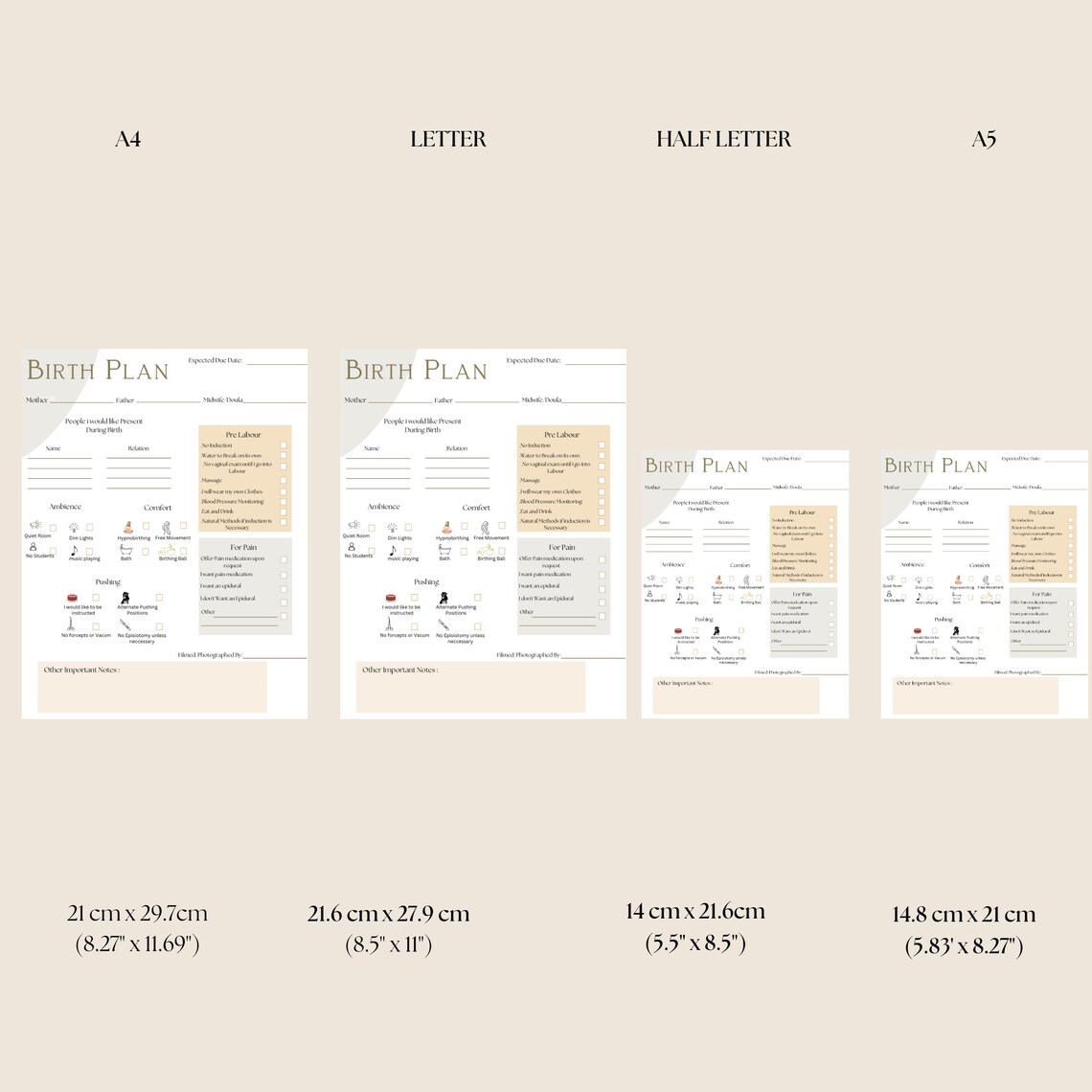 Birth Plan Template, Printable Birth Preferences, Birthing Plan ...