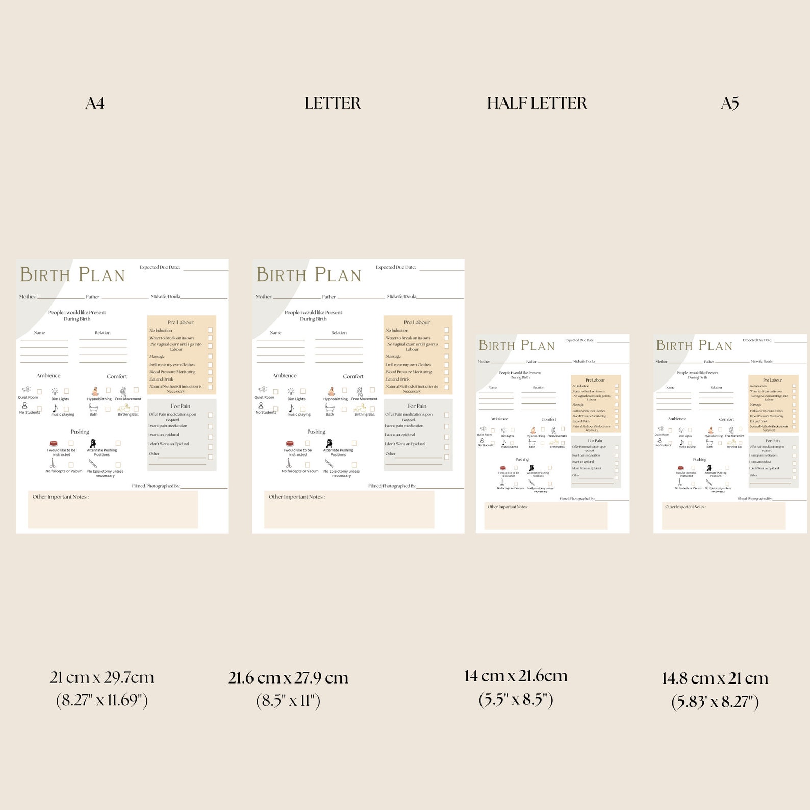 Birth Plan Template, Printable Birth Preferences, Birthing Plan ...