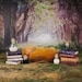Halloween Forest Baby Backdrop - Newborn Digital Backdrop/background ...