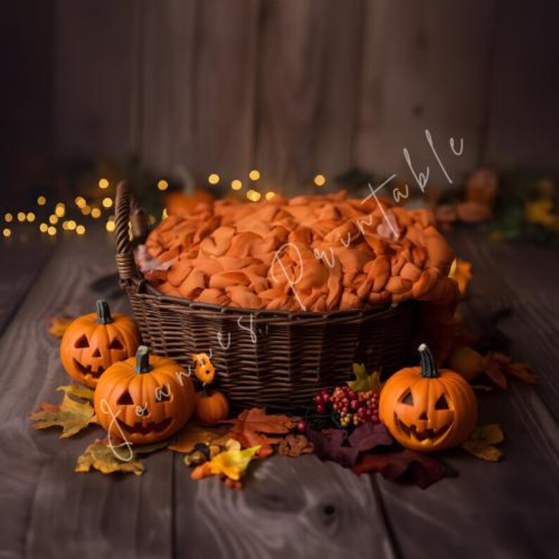 Halloween Basket Baby Backdrop - Newborn Digital Backdrop/background ...