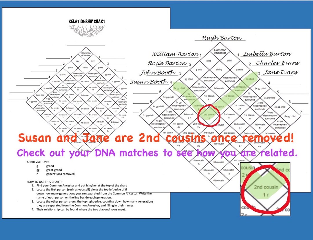 Cousin & Relationship Chart - Etsy