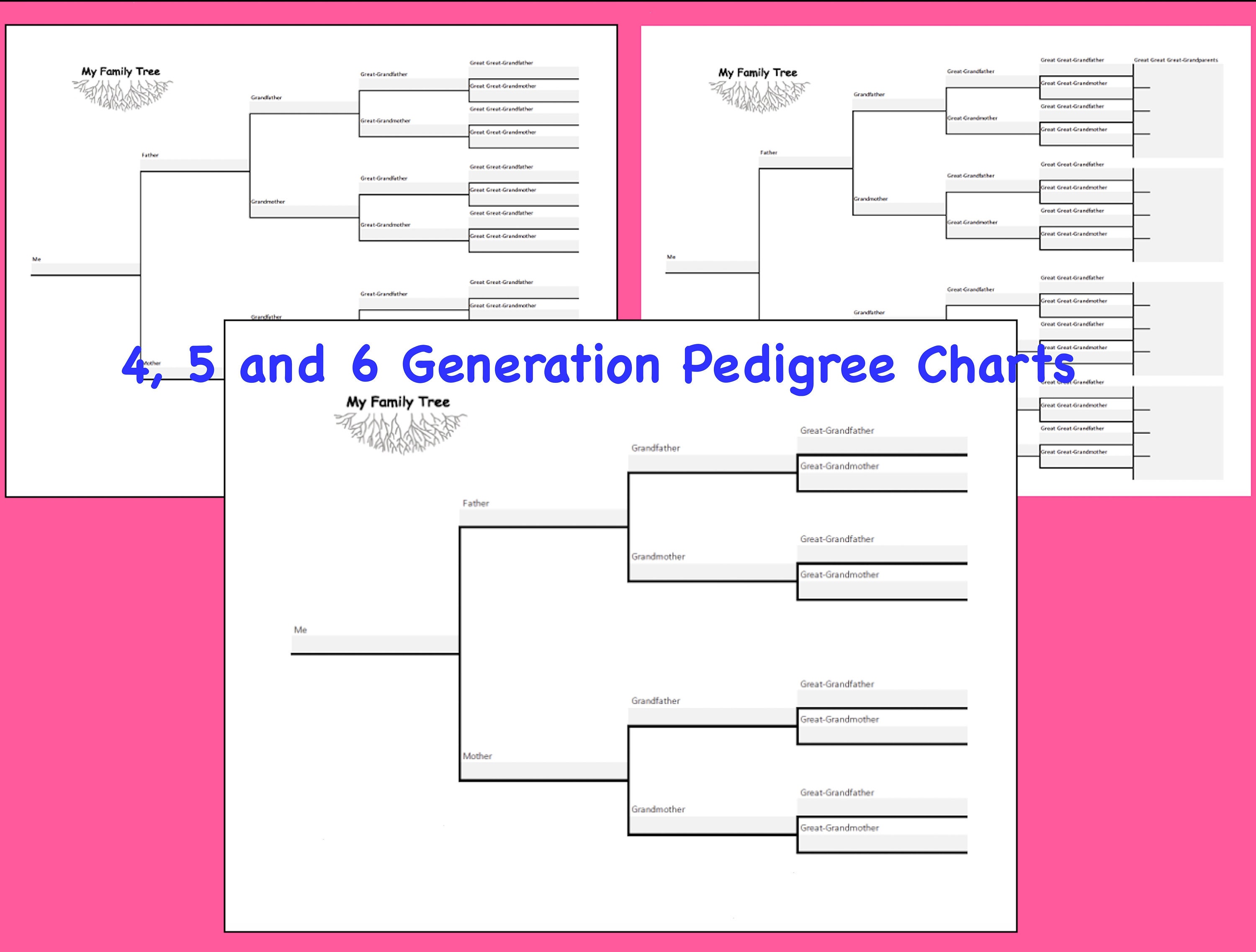 4 Generation Pedigree Chart Template