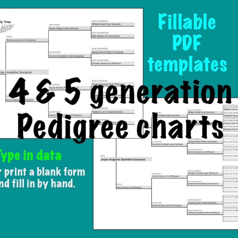 Pedigree Chart - Etsy