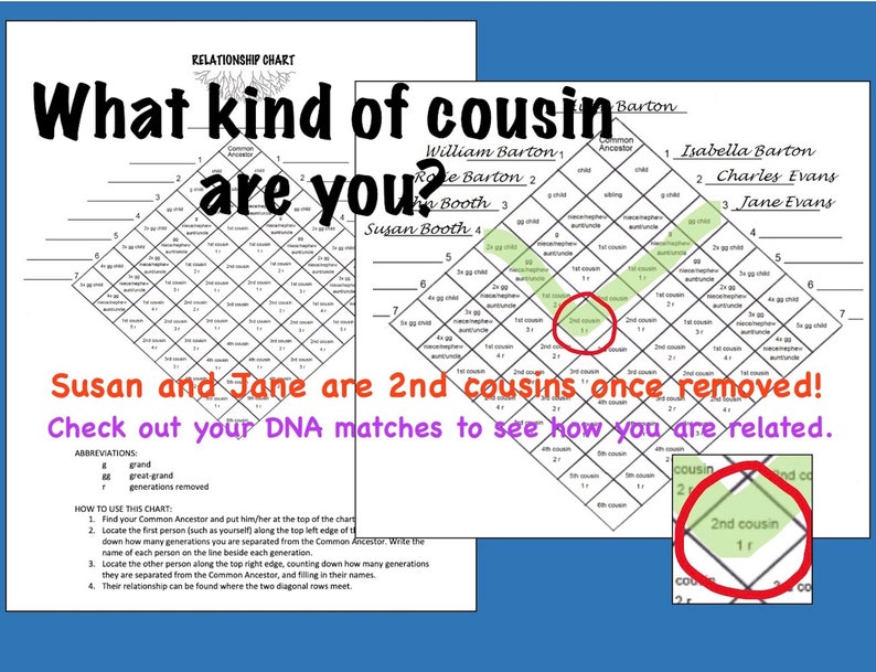 Cousin & Relationship Chart - Etsy