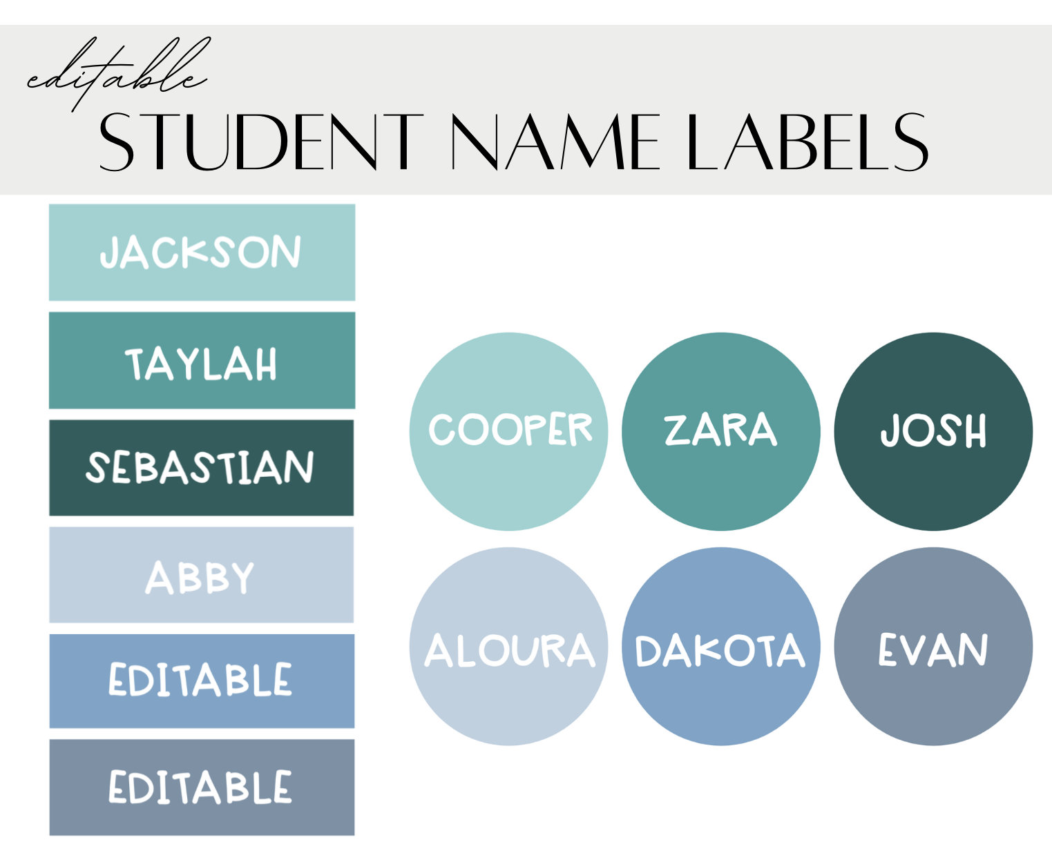 Student Name Labels | Editable Classroom Decor - Etsy