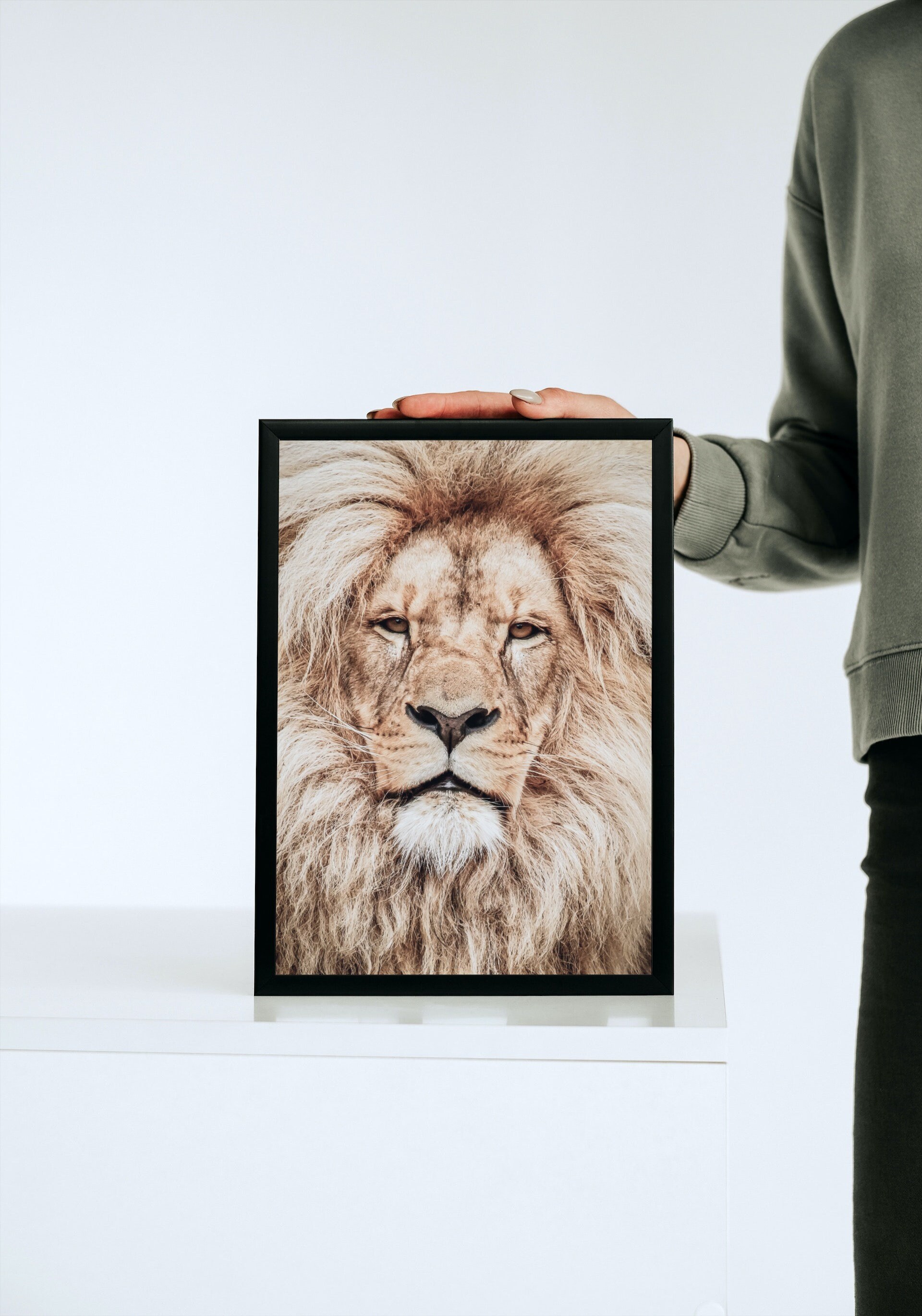 Lion Head Portrait Digital Print Poster, Lion Wall Art Nursery, Lion ...