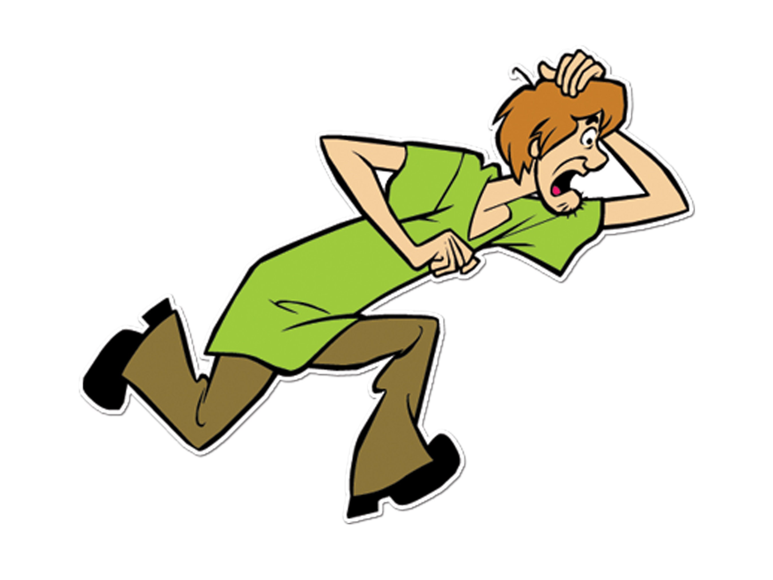 Shaggy Rogers Original