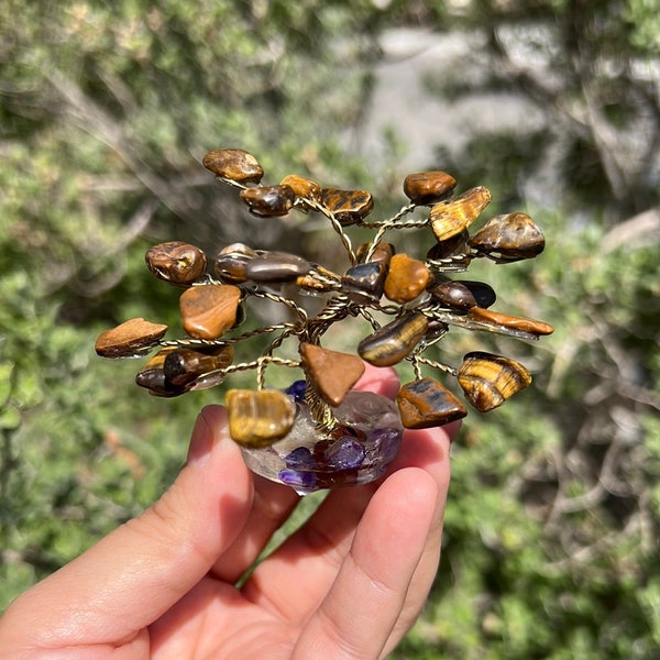 Tiger Eye Tree - Etsy