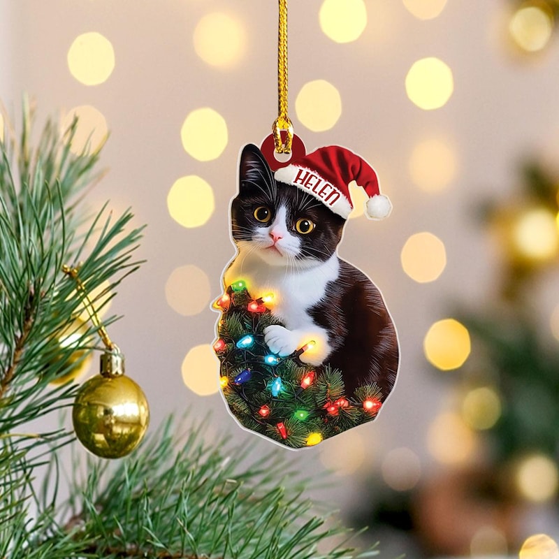 Custom Cat Ornament - Etsy
