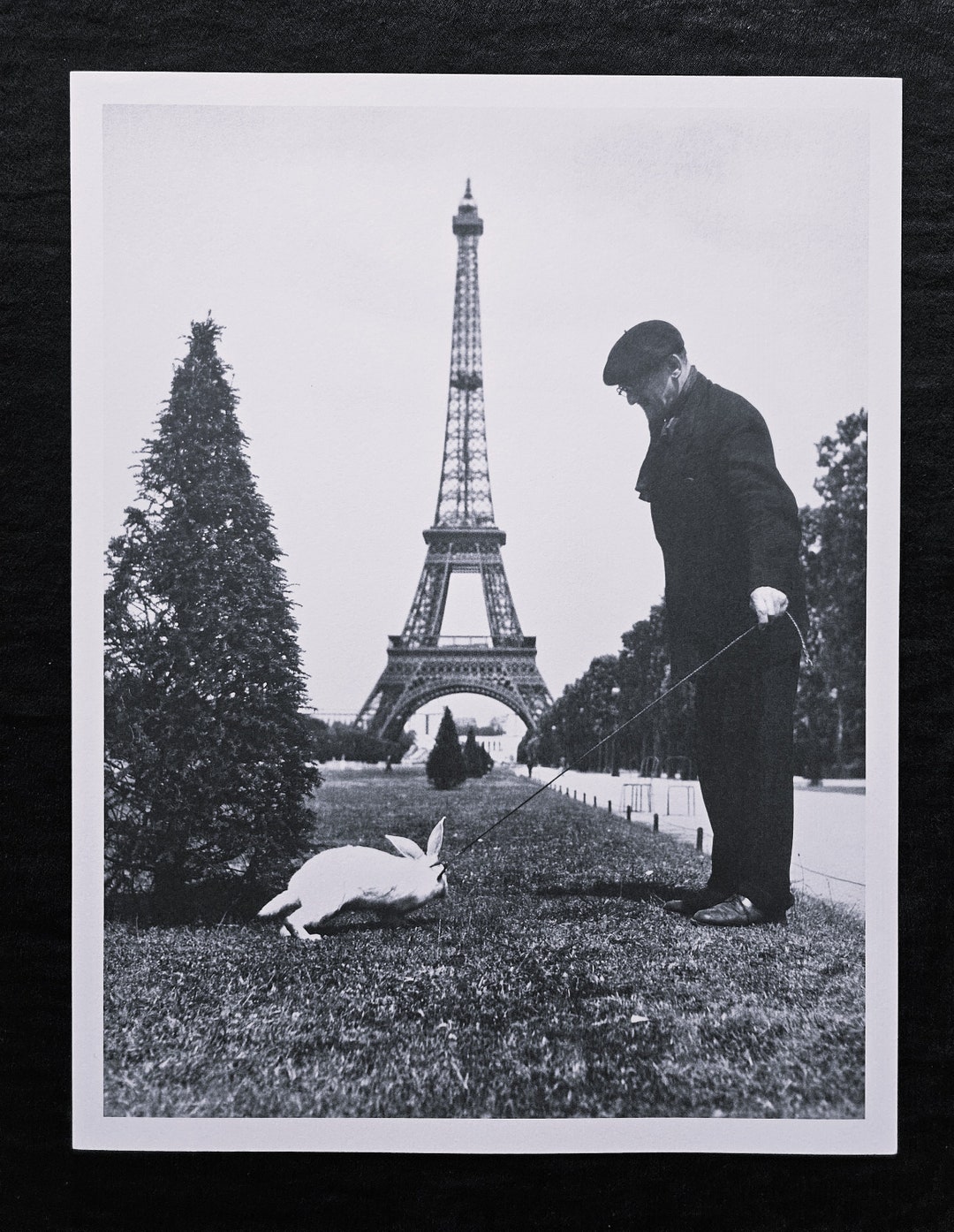 Robert Doisneau, "the Champ De Mars Rabbit, Paris, 1941," Monochrome ...