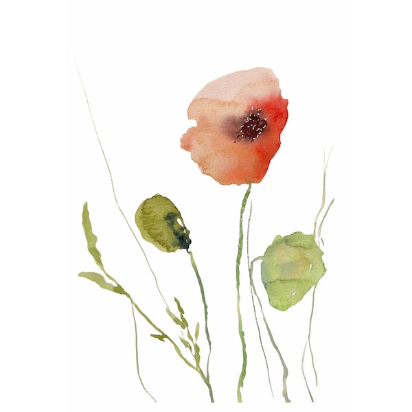 Poppy Flower Print - Etsy
