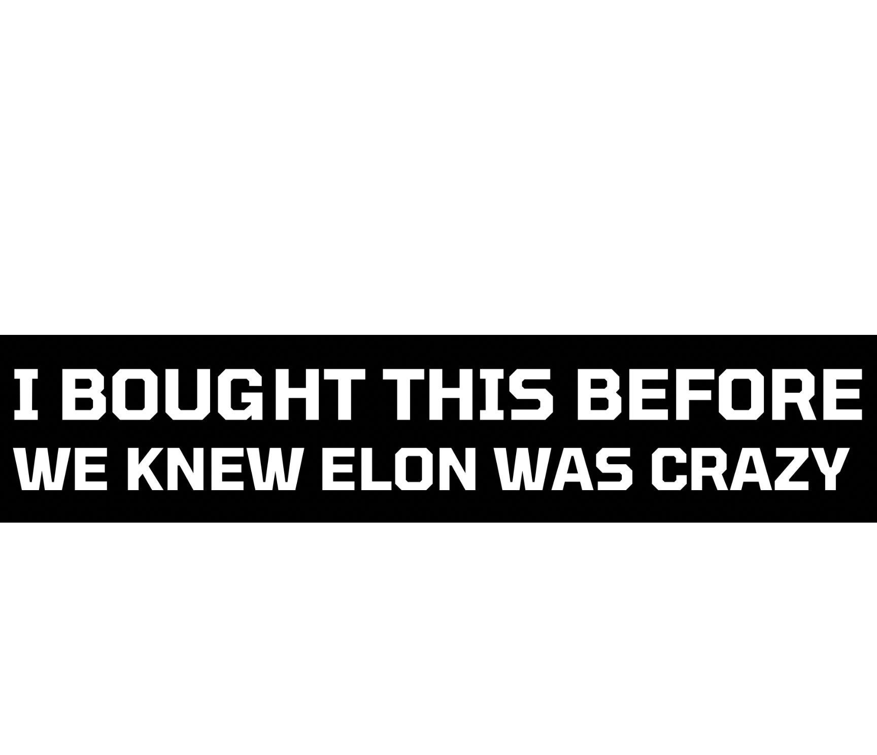 Tesla Owner Bumper Sticker, I Bought This Before ELON WENT CRAZY, Tesla ...