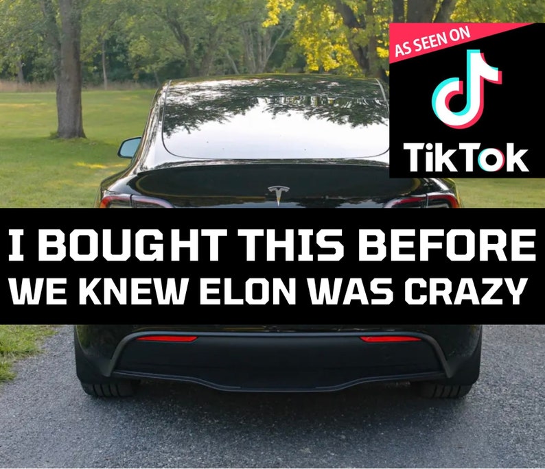 Tesla Owner Bumper Sticker, I Bought This Before ELON WENT CRAZY, Tesla ...
