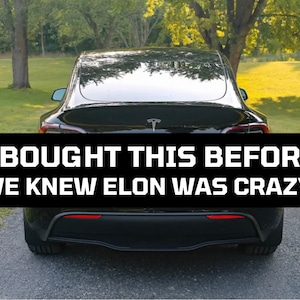 Tesla Owner Bumper Sticker, I Bought This Before ELON WENT CRAZY, Tesla ...