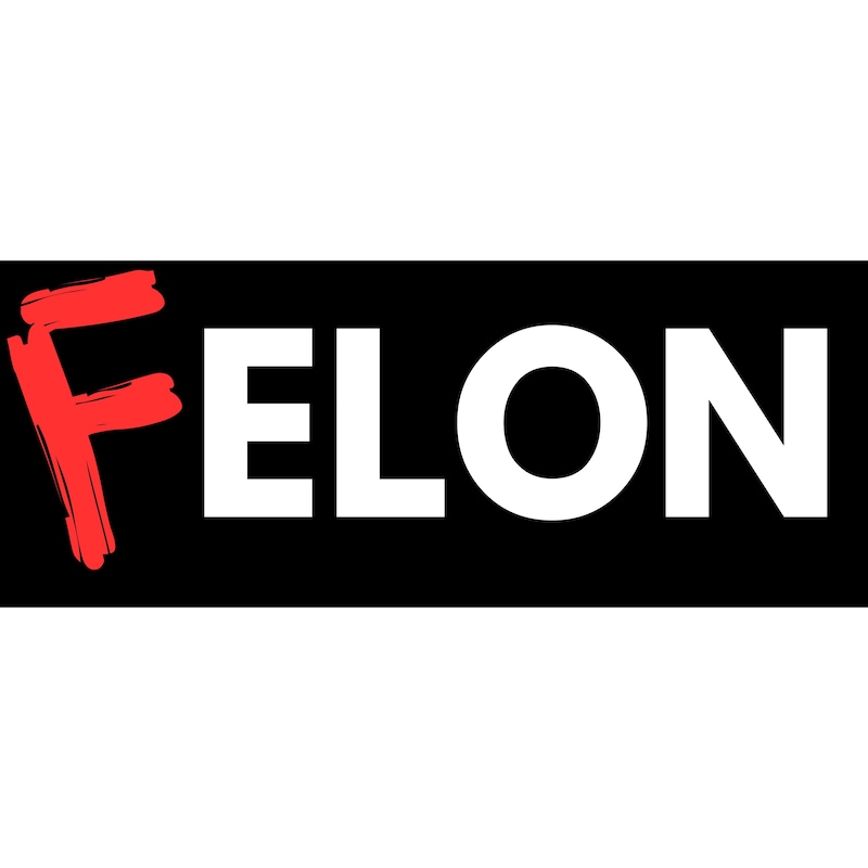 F Elon and the Felon Bumper Sticker - Etsy