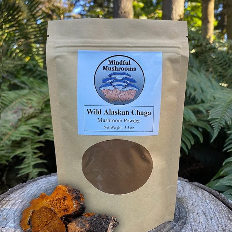 Chaga Mushroom - Etsy